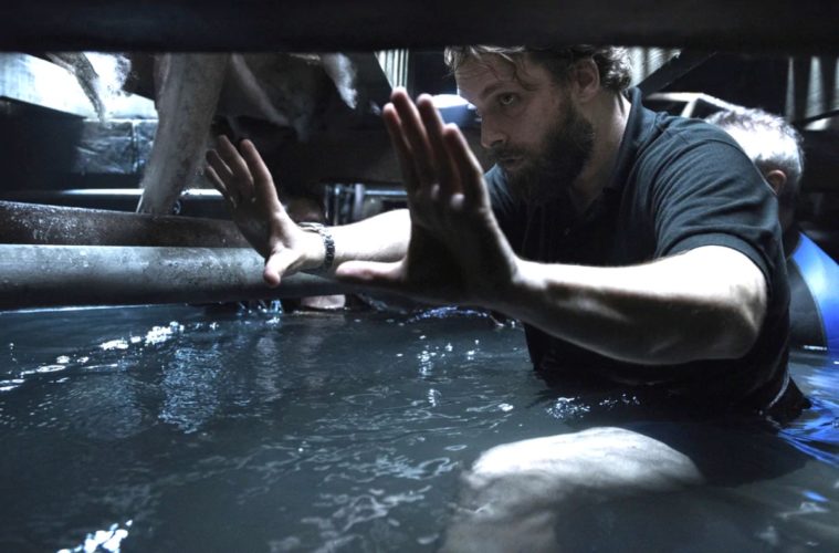 Alexandre Aja - The Film Stage