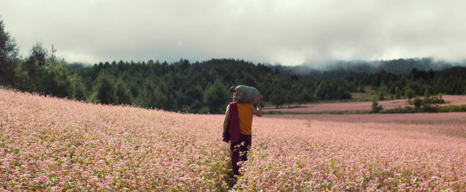 The Monk and the Gun Trailer: Pawo Choyning Dorji Returns with Bhutan’s Oscar Entry