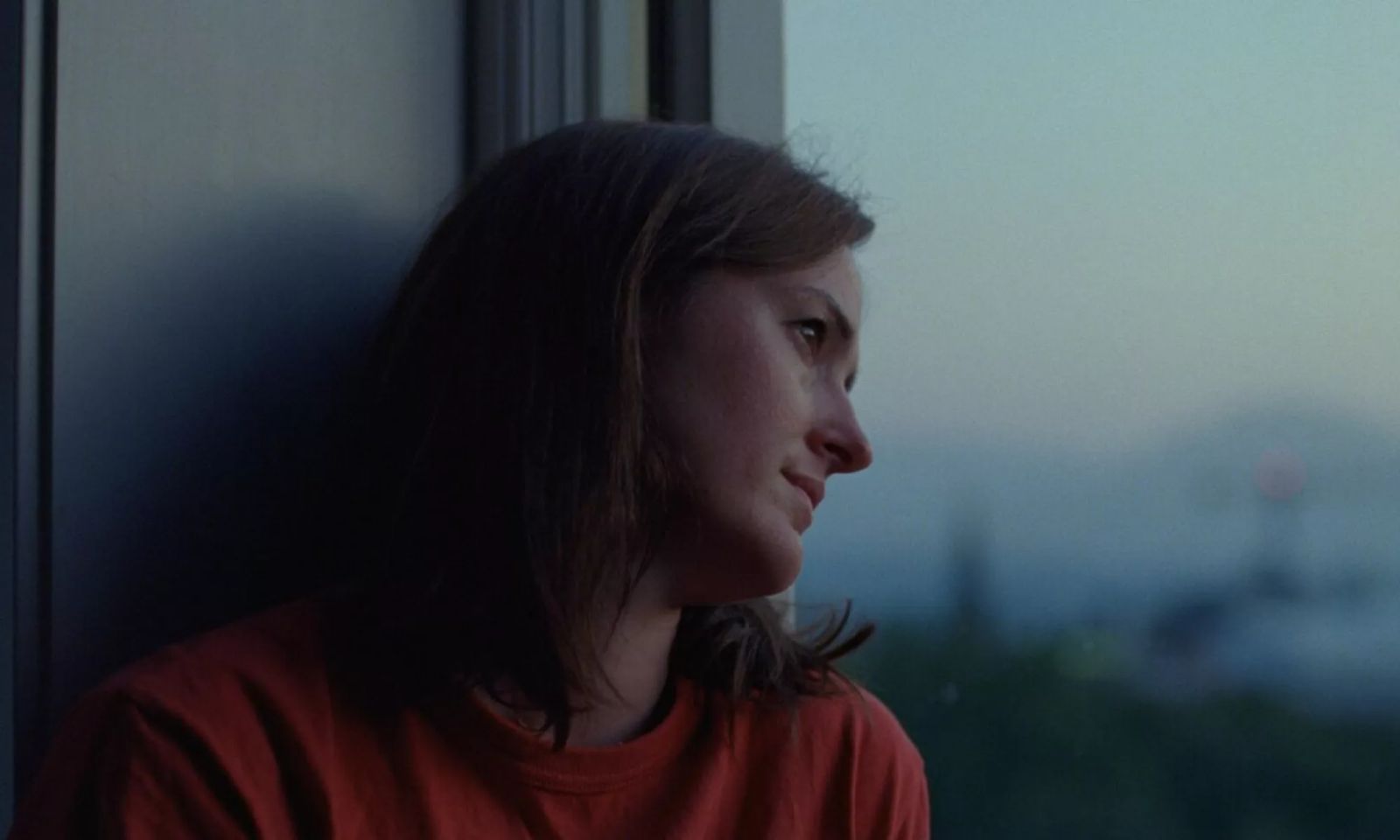 New to Streaming: Sentimental Value, Cover-Up, Where to Land, Die My ...